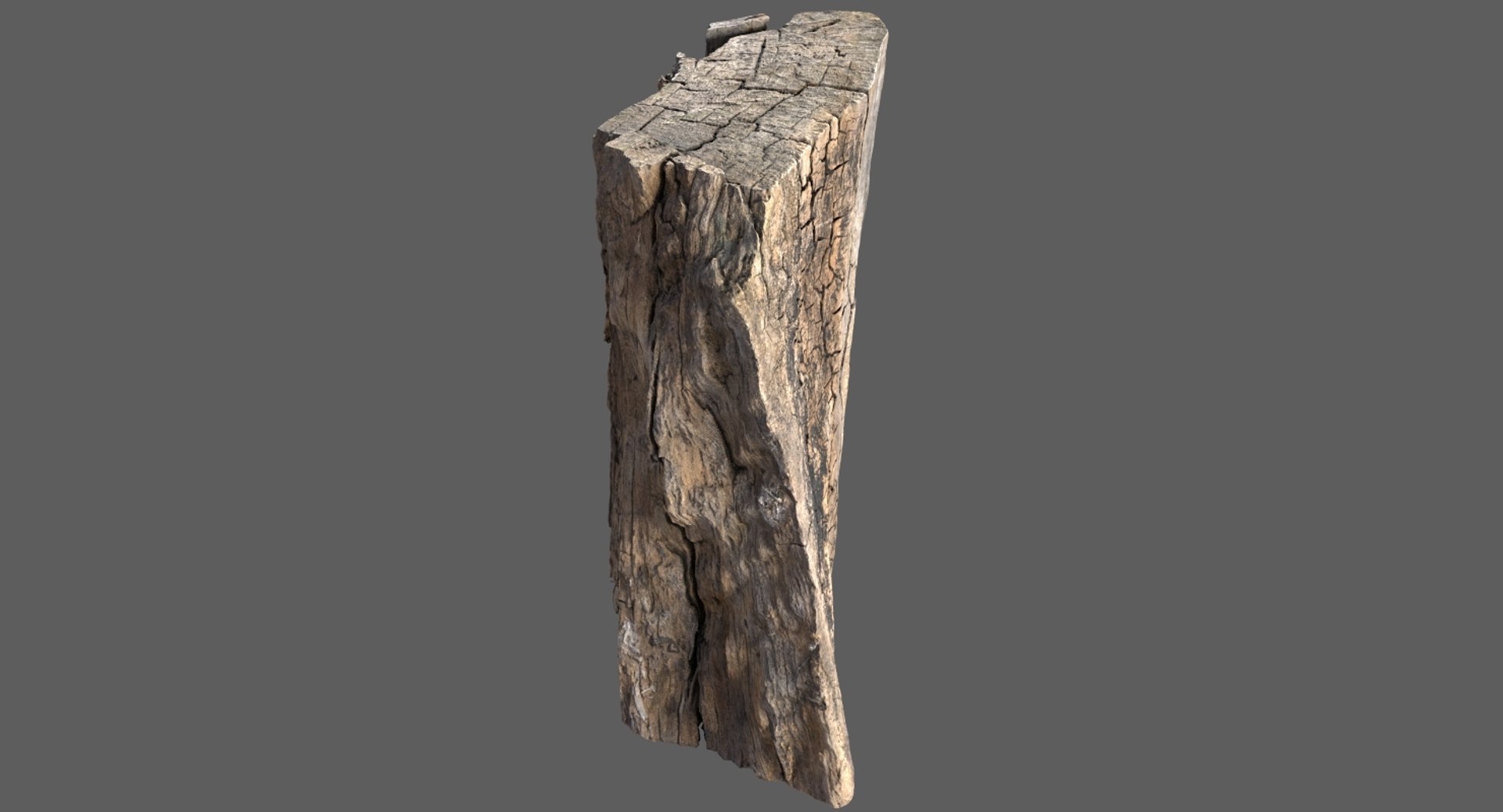 3D Tree Bark Scanned Model - TurboSquid 1419523