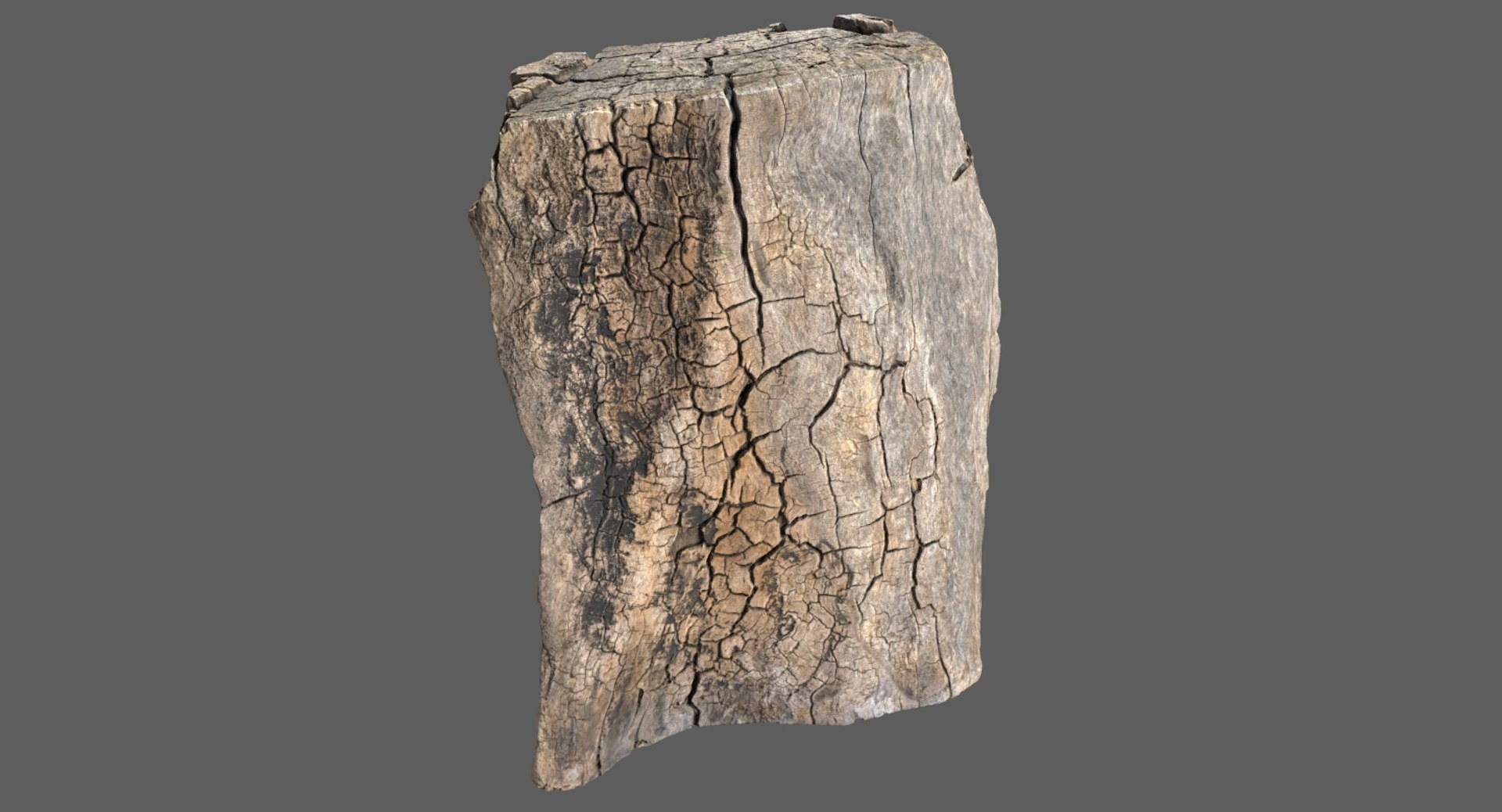 3D Tree Bark Scanned Model - TurboSquid 1419523