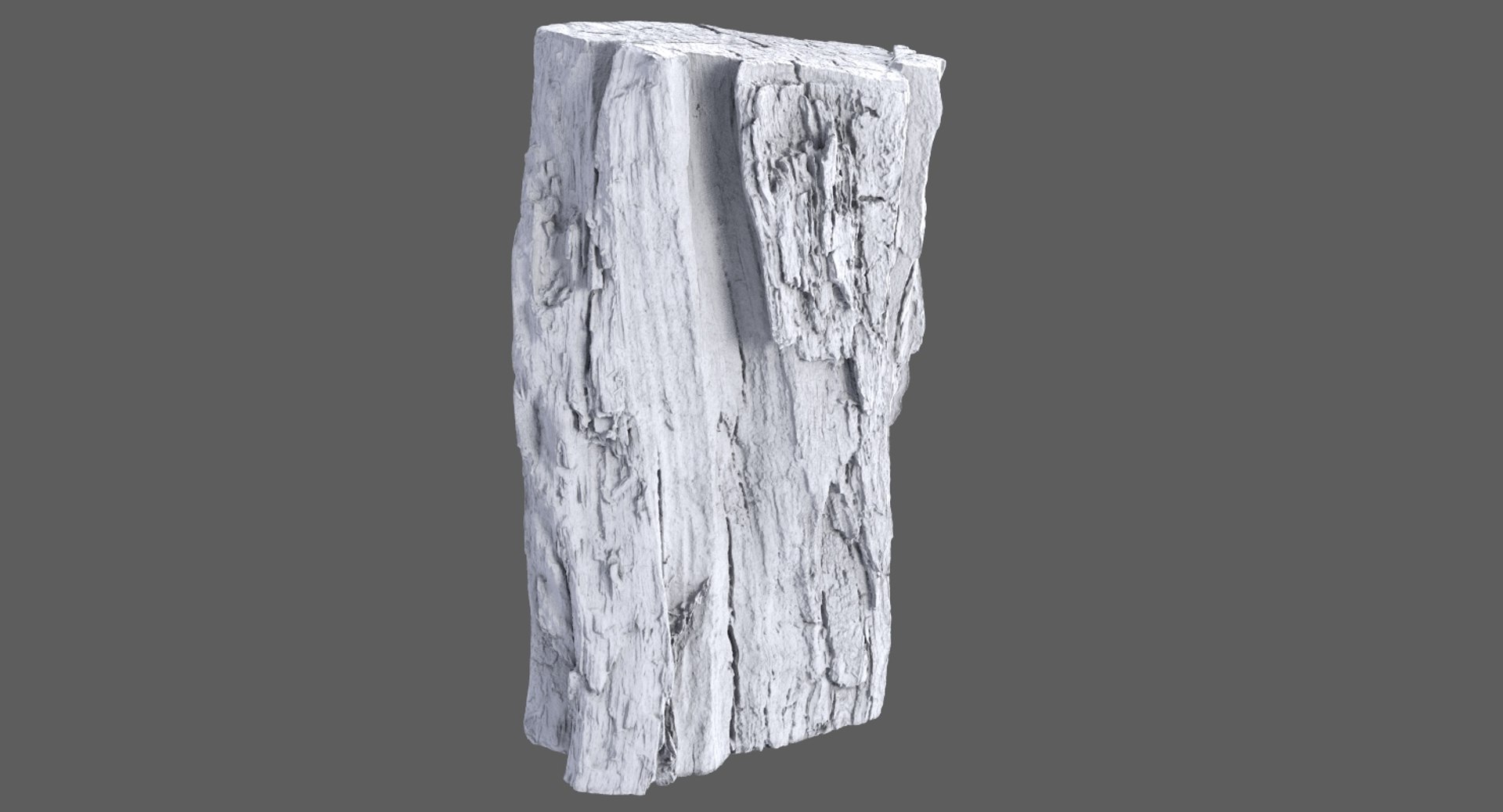 3D Tree Bark Scanned Model - TurboSquid 1419523