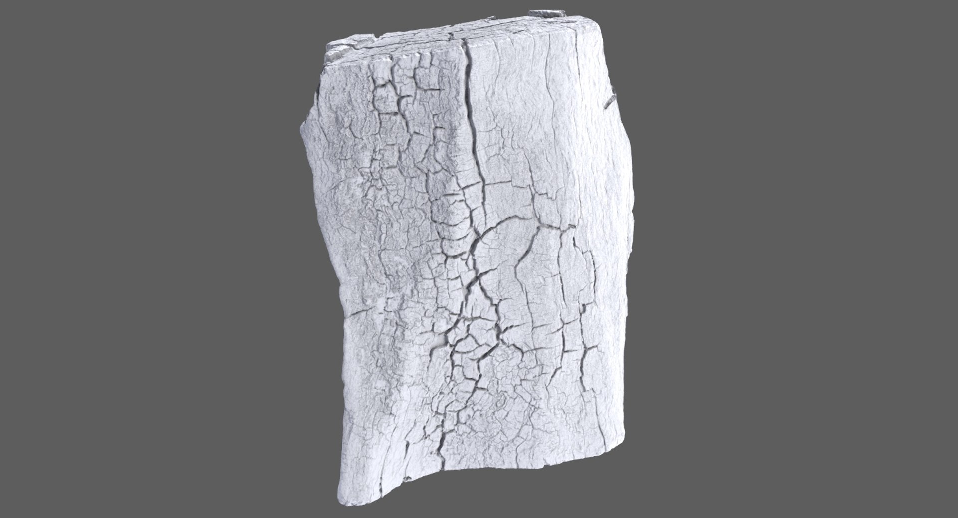 3D Tree Bark Scanned Model - TurboSquid 1419523