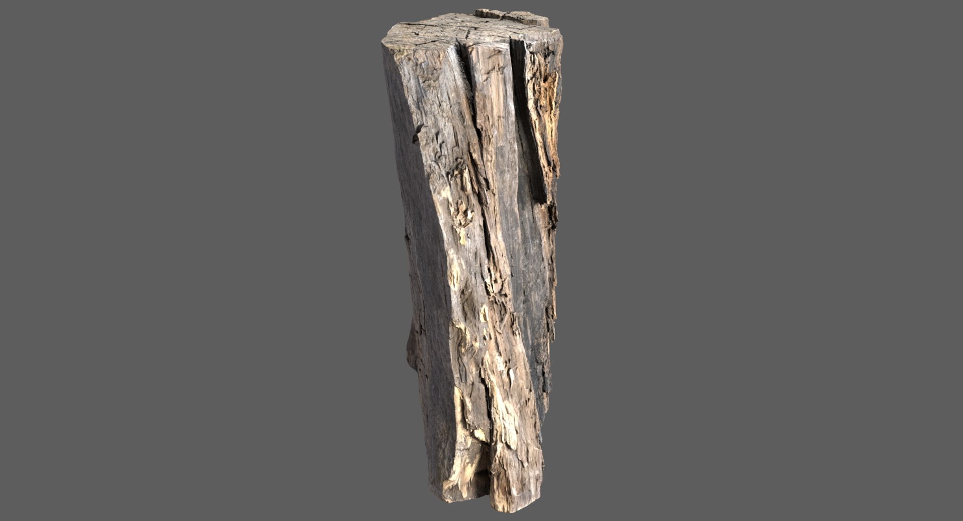 3D Tree Bark Scanned Model - TurboSquid 1419523