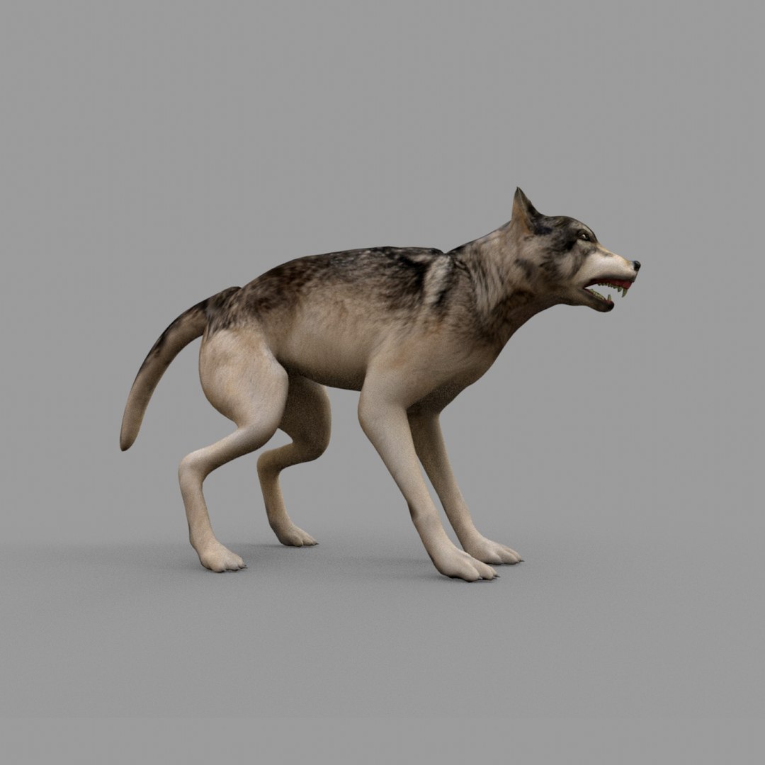 3D wolf rig - TurboSquid 1375008