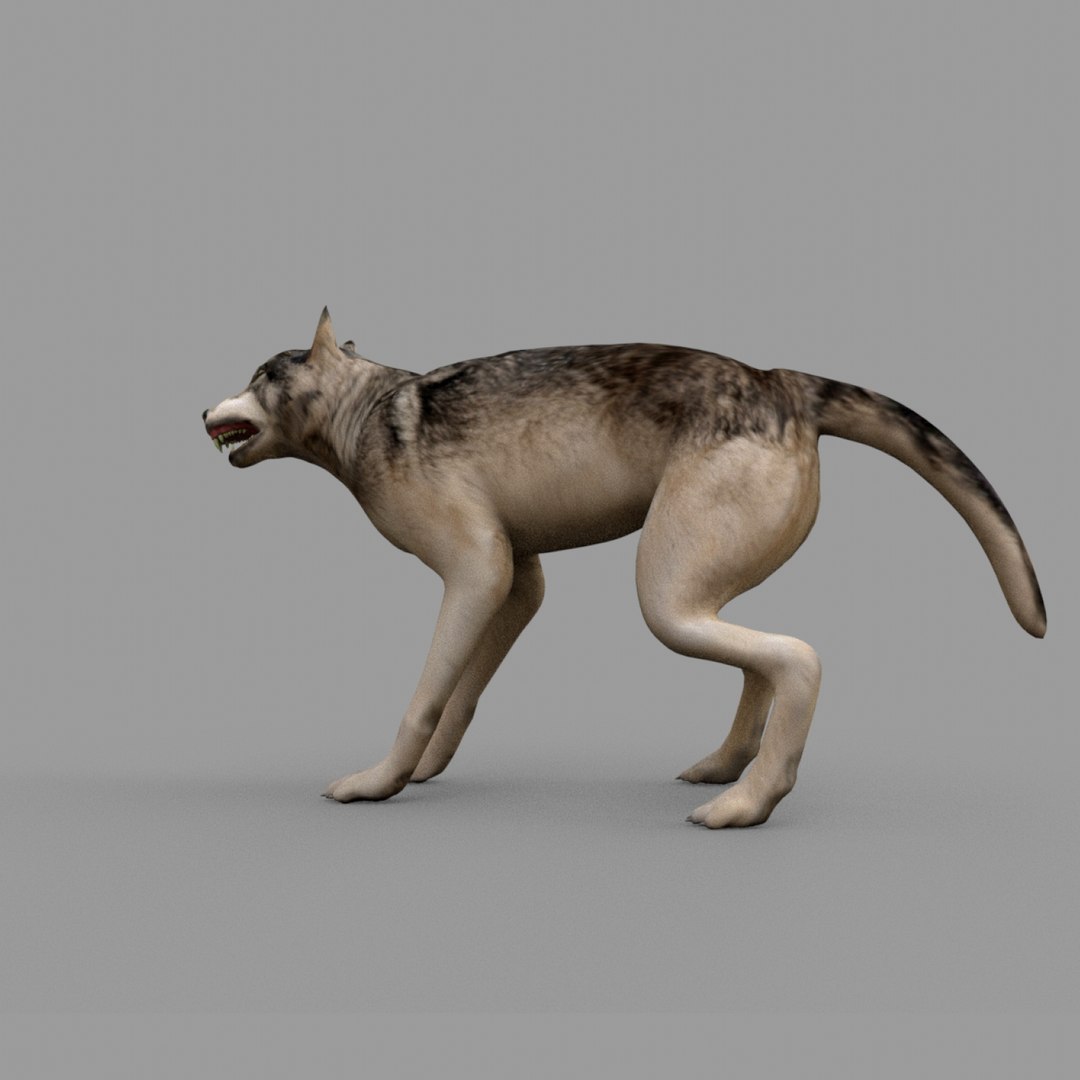 3D wolf rig - TurboSquid 1375008