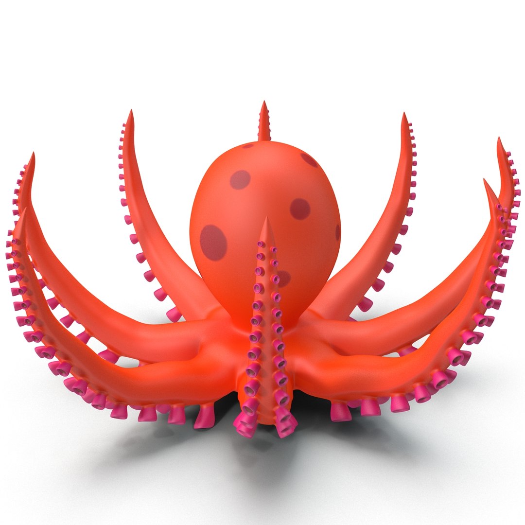 3dsmax cartoon octopus rigged