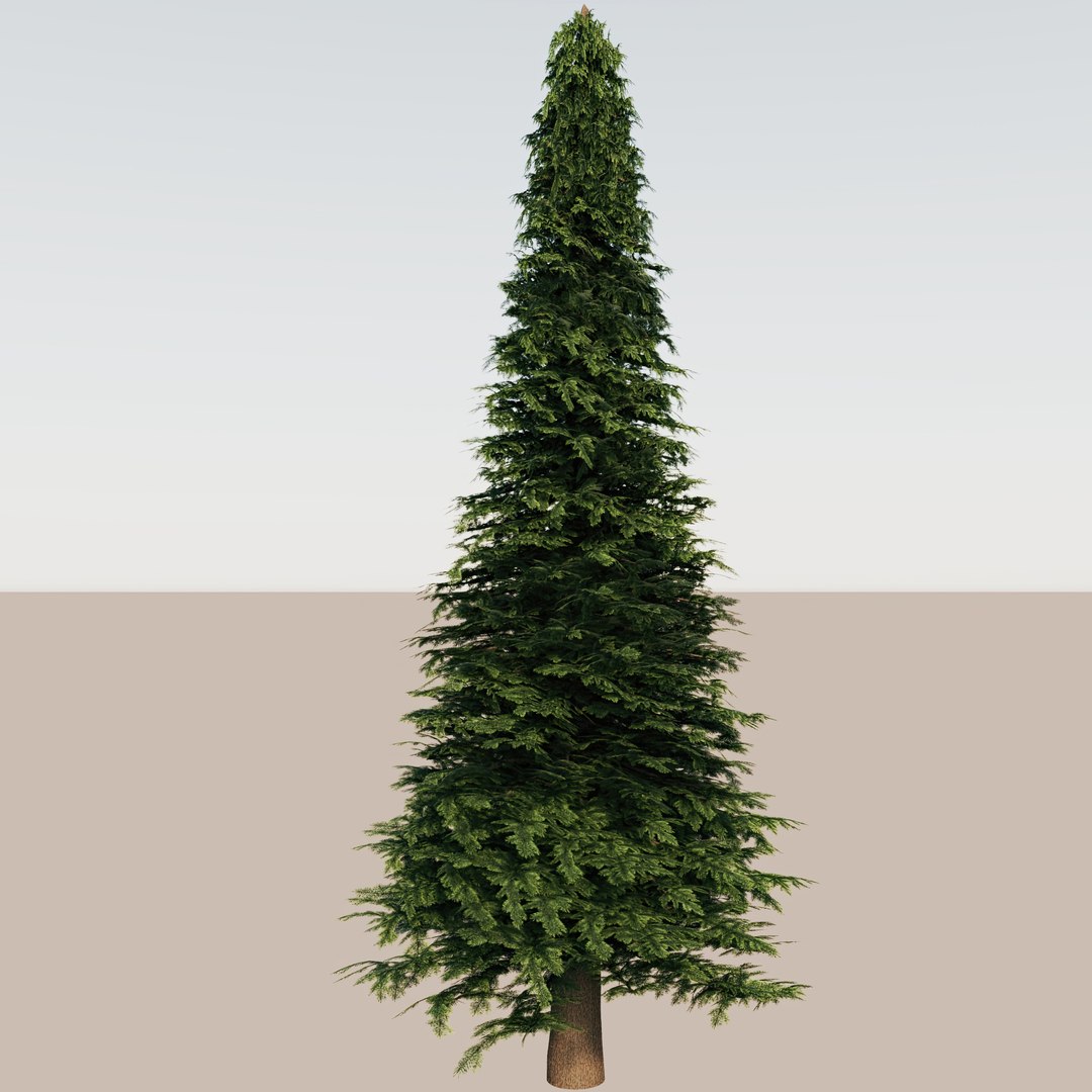 Tree Pack 2 3D - TurboSquid 2171113