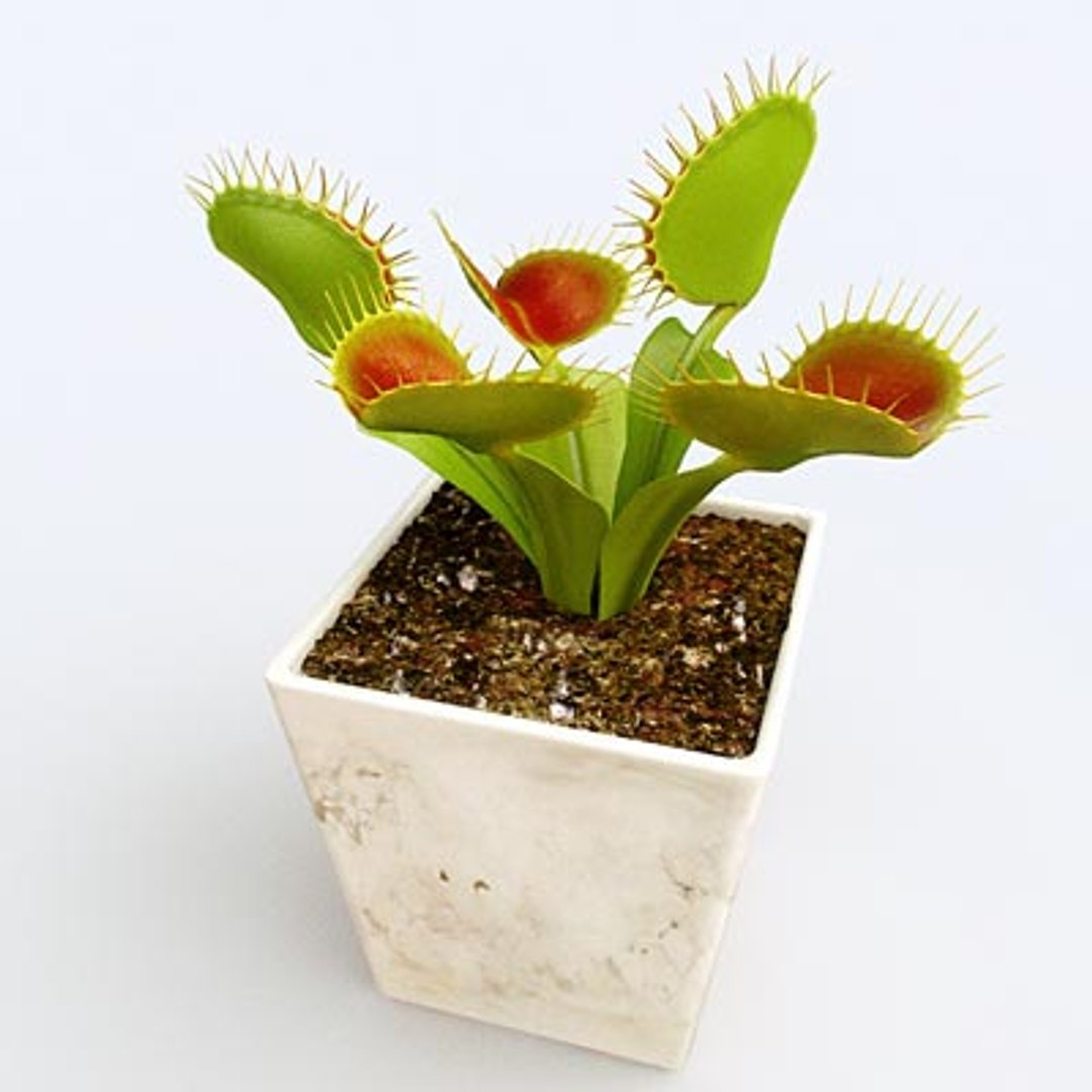3ds Venus Flytrap Plant