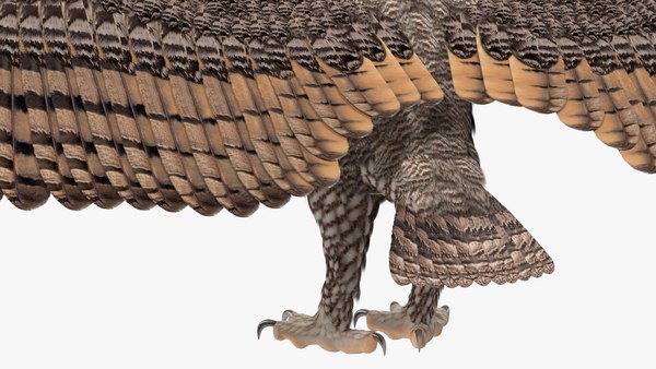 Great Horned Owl Rigged para Modo Modelo 3D - TurboSquid 1533728