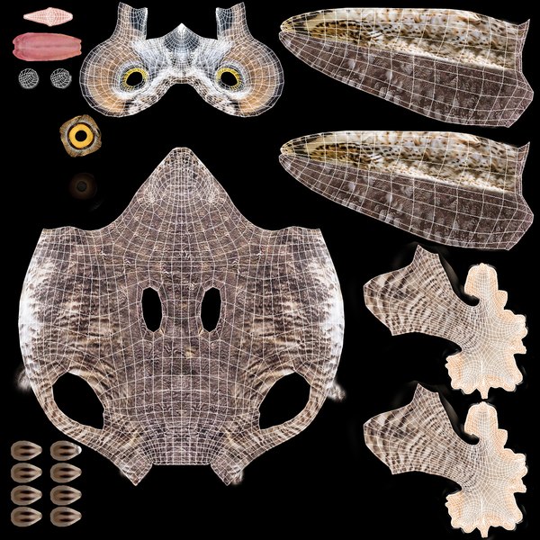 Great horned owl rigged 3D model - TurboSquid 1533728