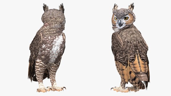 Great Horned Owl Rigged para Modo Modelo 3D - TurboSquid 1533728