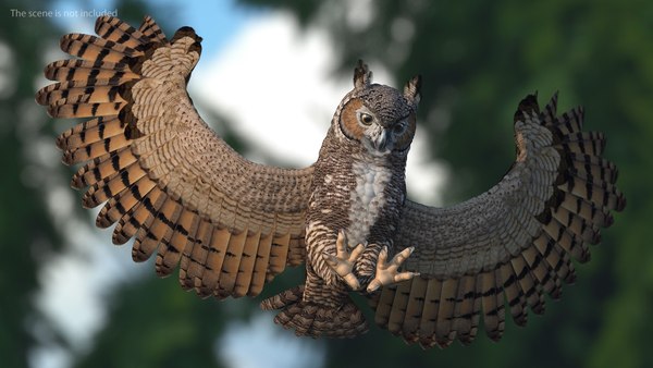 Great Horned Owl Rigged para Modo Modelo 3D - TurboSquid 1533728