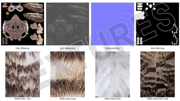 Great Horned Owl Rigged para Modo Modelo 3D - TurboSquid 1533728