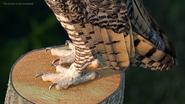 Great Horned Owl Rigged para Modo Modelo 3D - TurboSquid 1533728