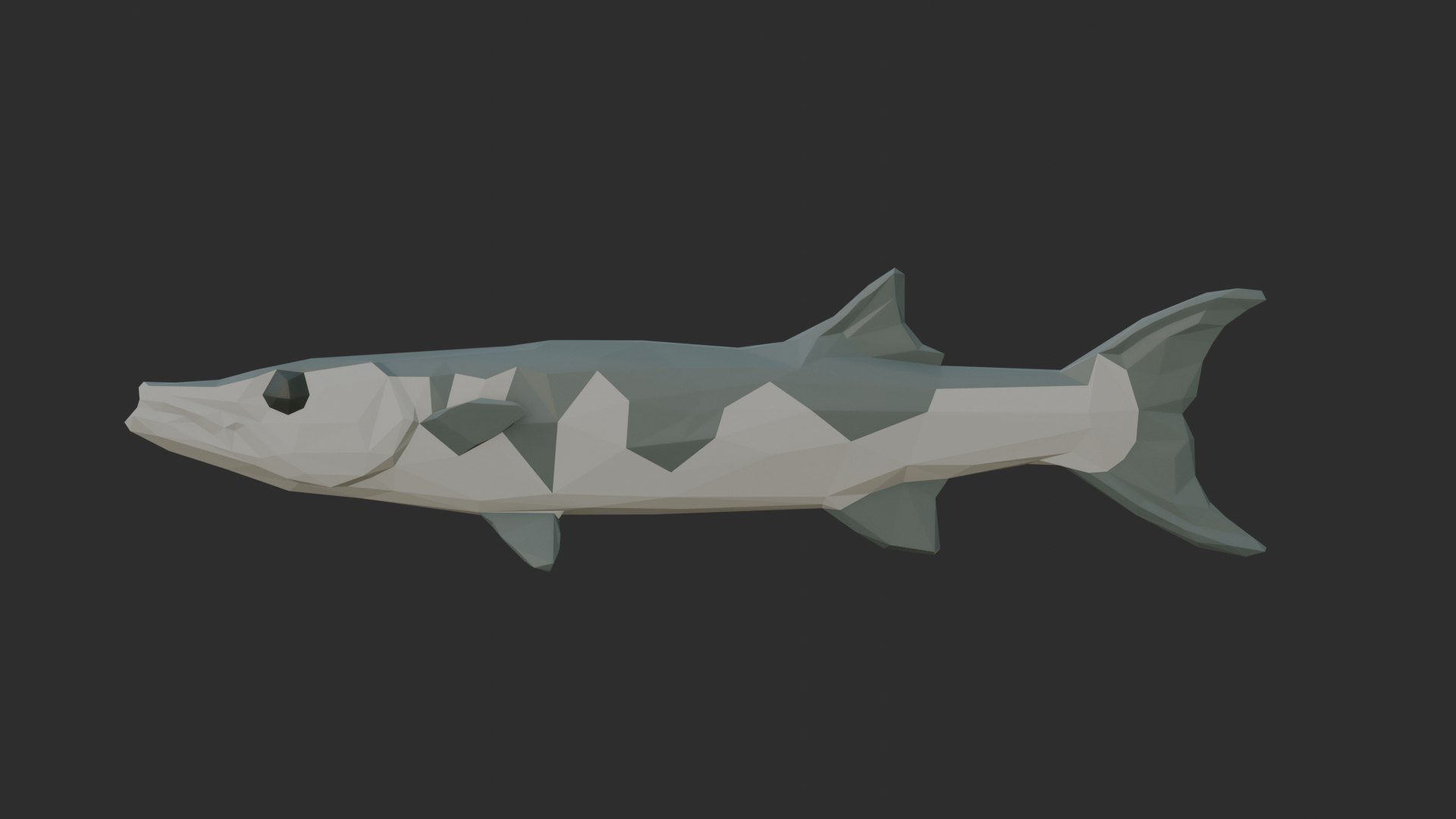 3D LowPoly Pacific Barracuda Rigged Animated - TurboSquid 2387429