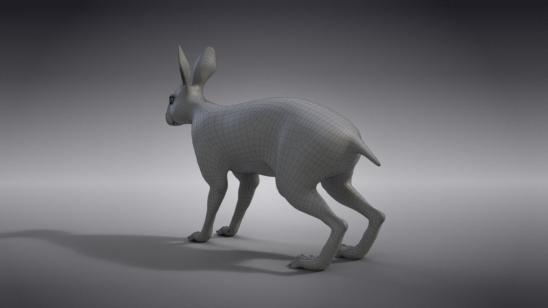 3D Snowshoe Rabbit Model - TurboSquid 1918239