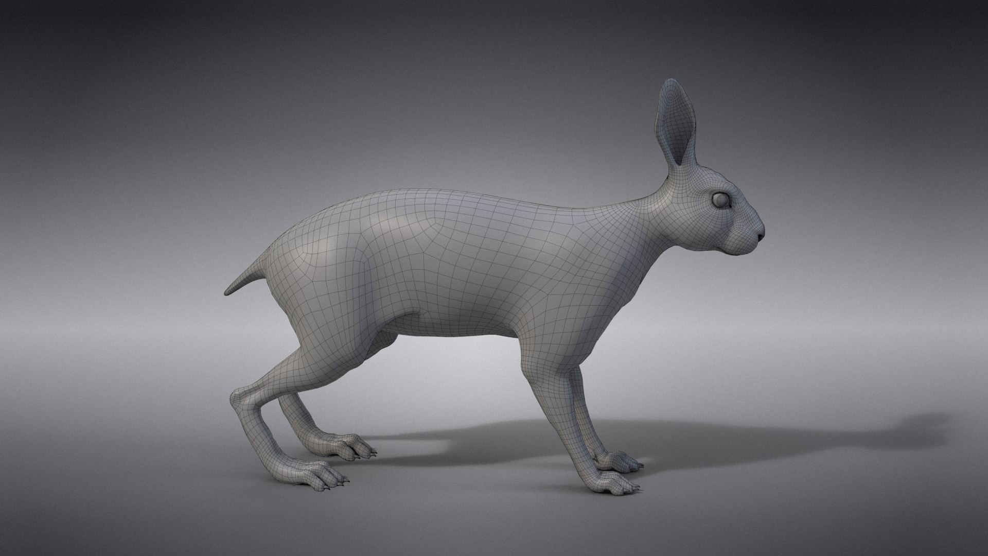 3D Snowshoe Rabbit Model - TurboSquid 1918239
