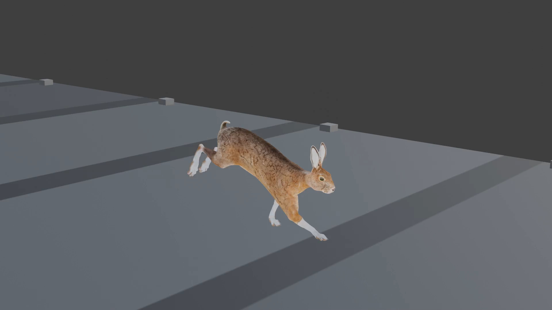 3D Snowshoe Rabbit Model - TurboSquid 1918239