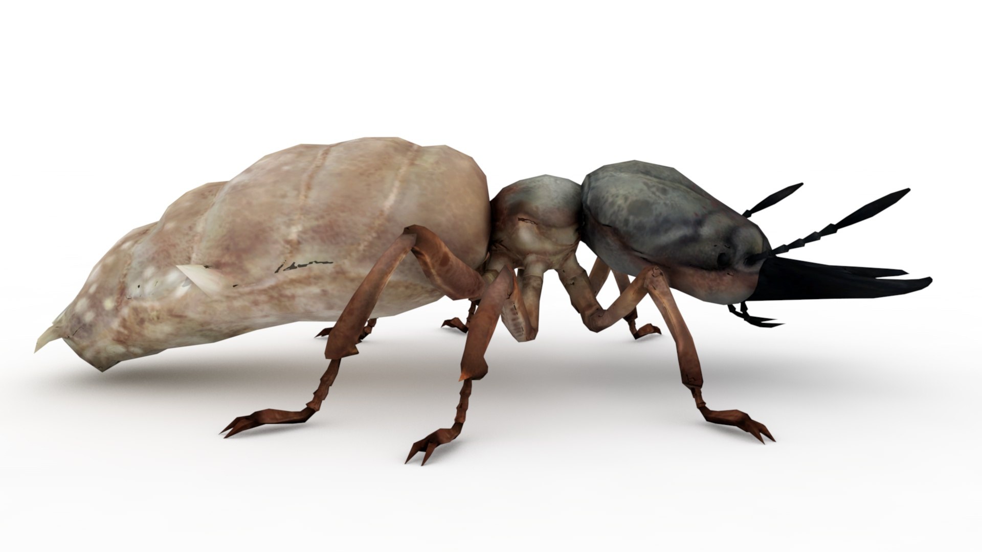 Ant model - TurboSquid 1927003