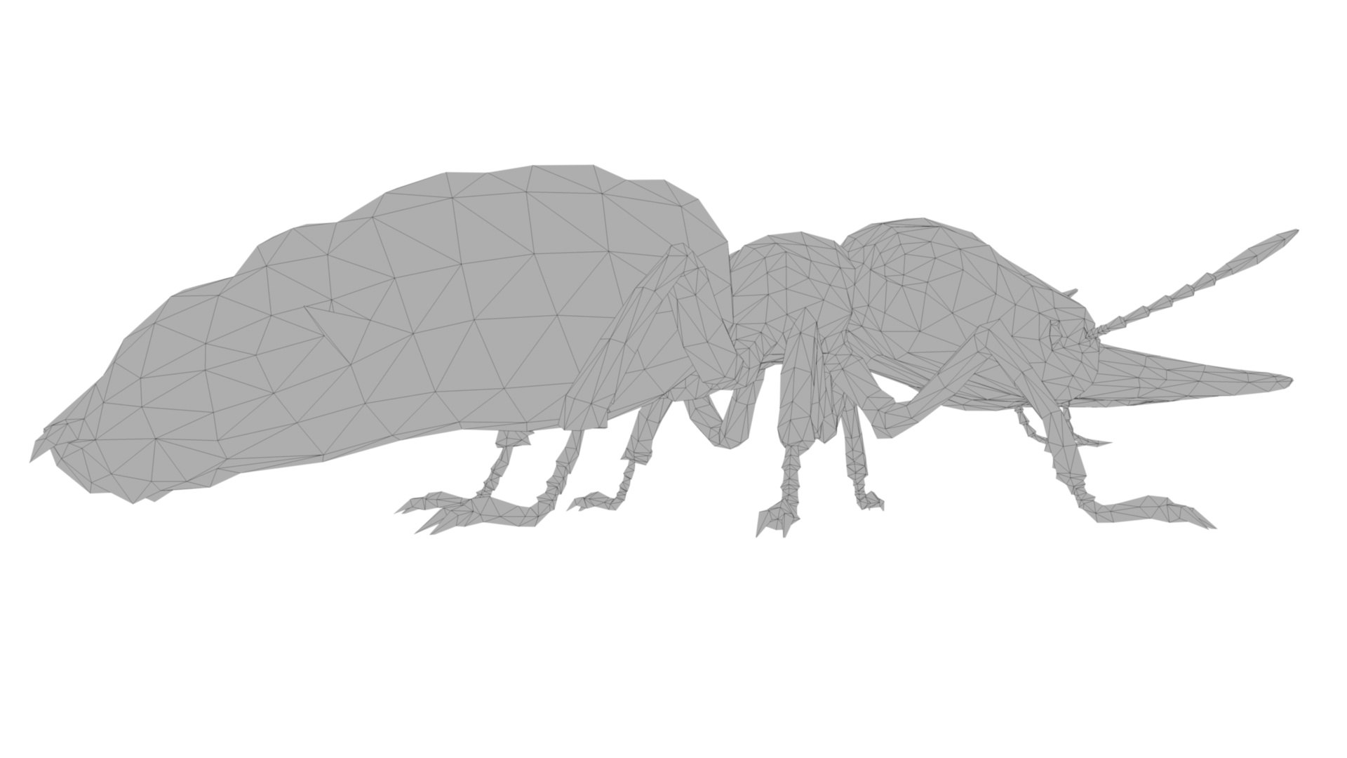 Ant model - TurboSquid 1927003