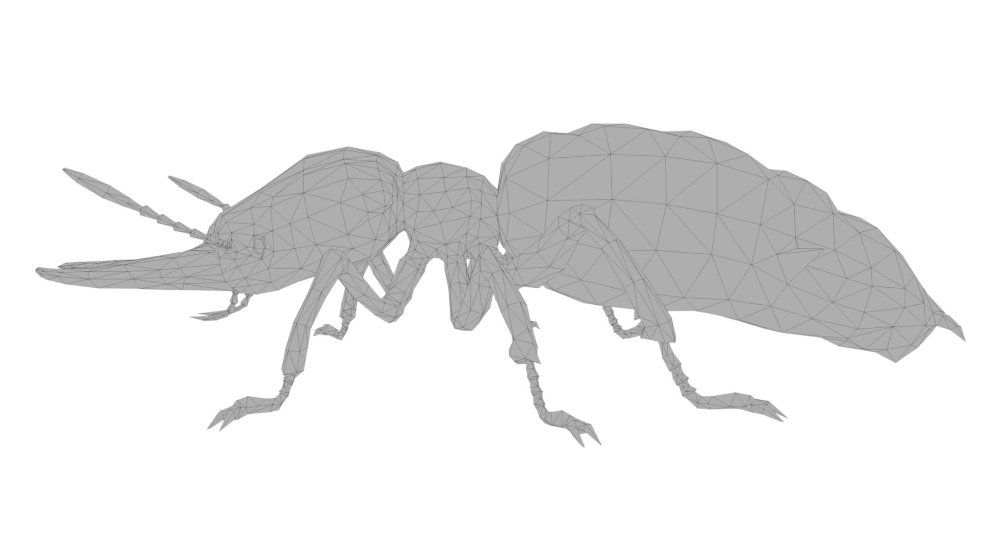 Ant model - TurboSquid 1927003