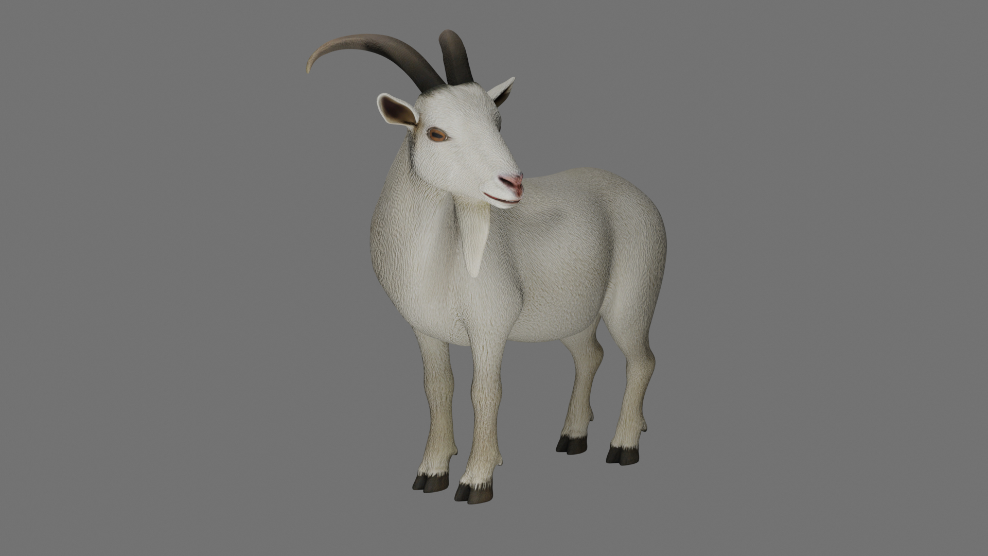 3D Model Goat Animal Mammal - TurboSquid 1694858