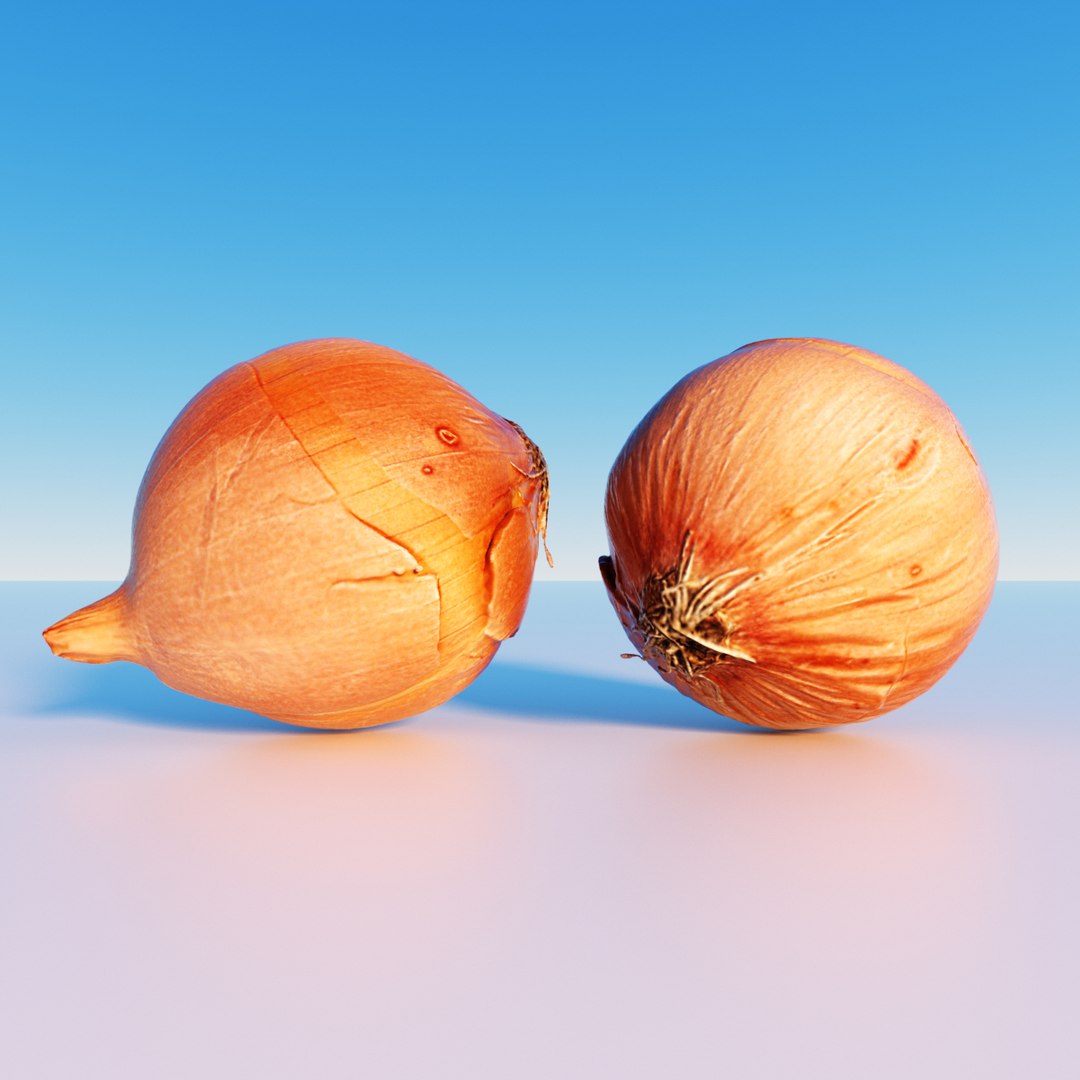 Photorealistic 3D Scan Of Onion 3D - TurboSquid 2228261
