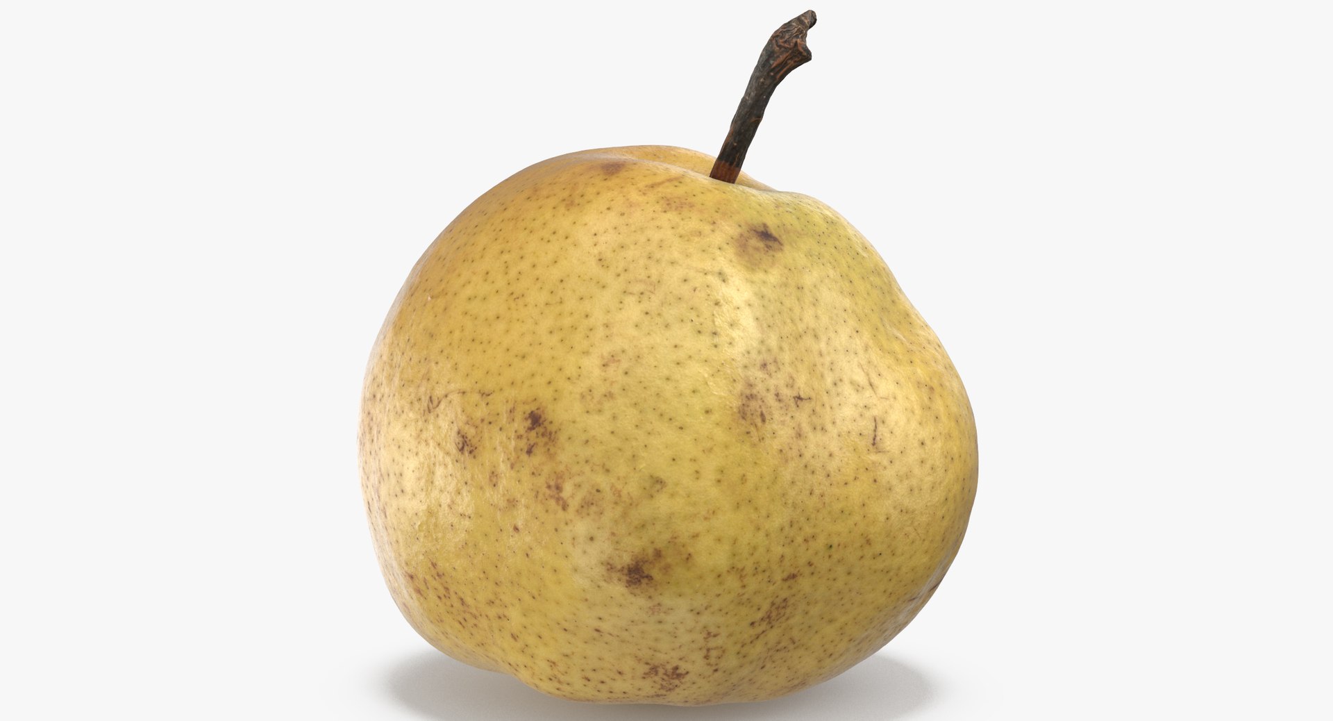 Comice Pear 04 3D Model - TurboSquid 1406773