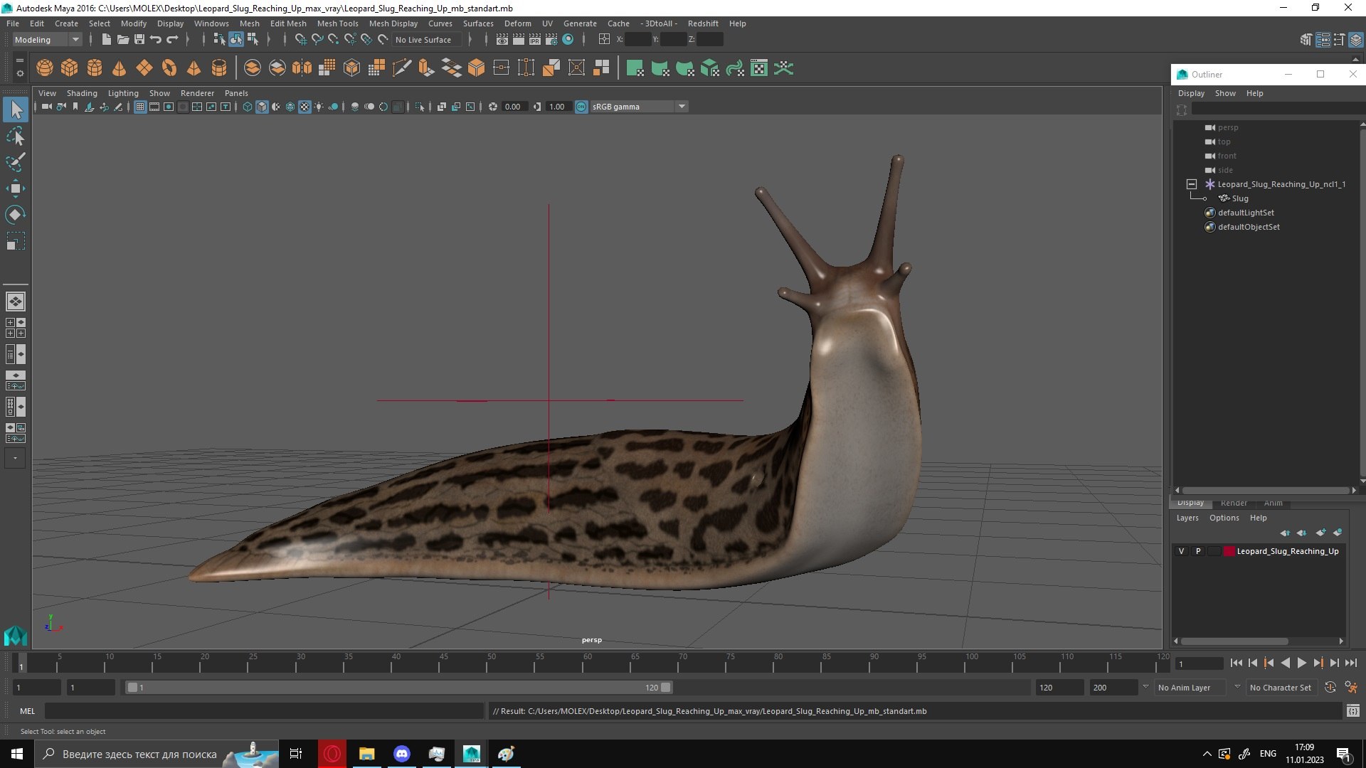 3D Leopard Slug Reaching Up Model - TurboSquid 2016173