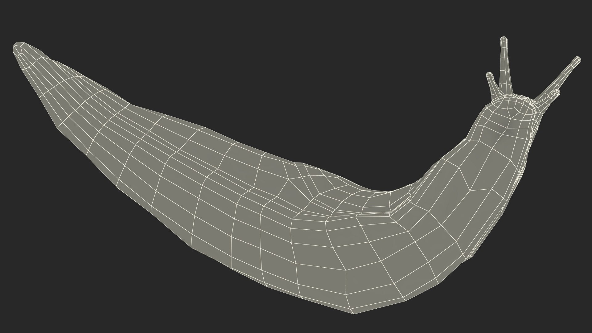 3D Leopard Slug Reaching Up Model - TurboSquid 2016173