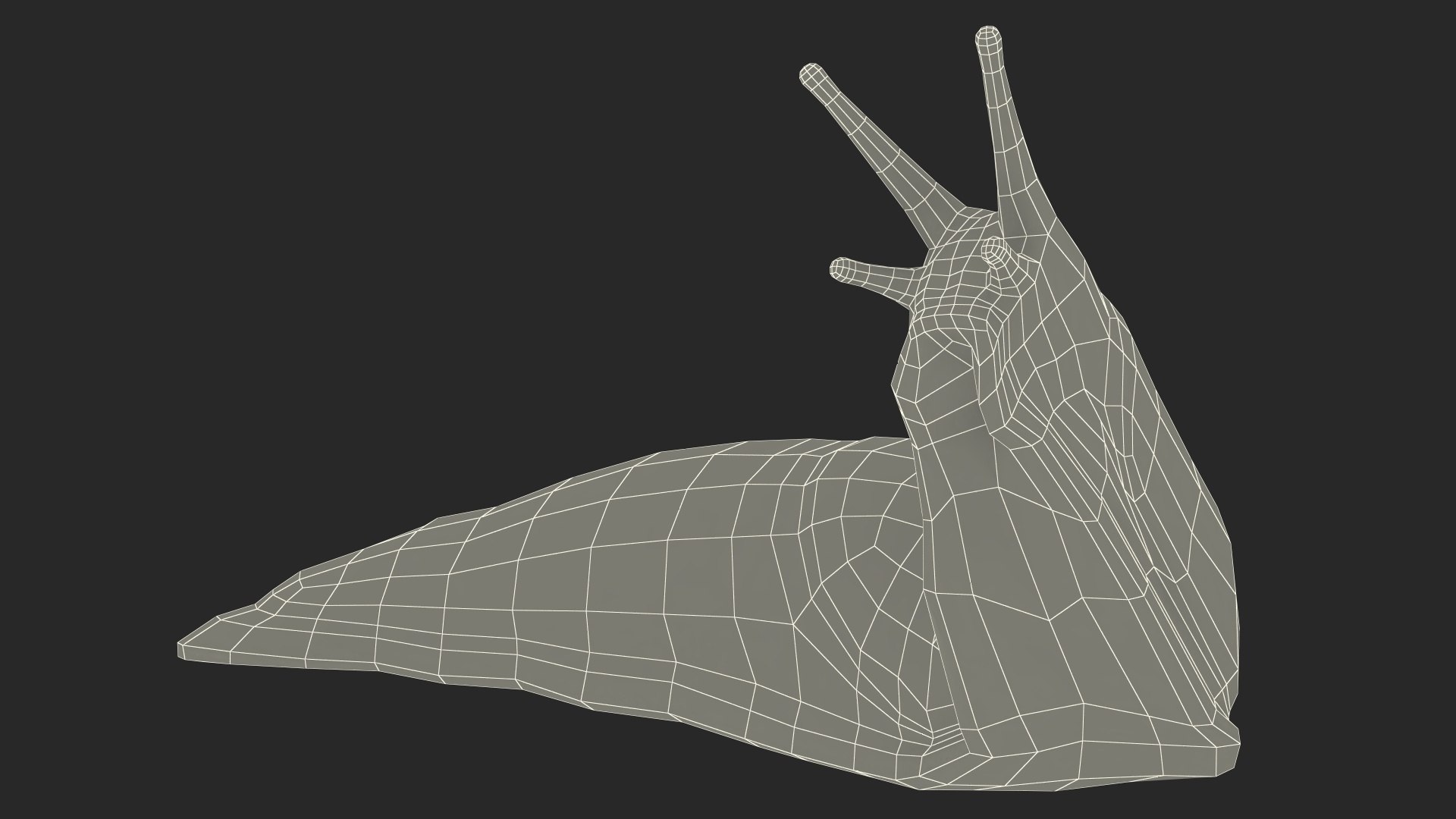 3D Leopard Slug Reaching Up model - TurboSquid 2016173