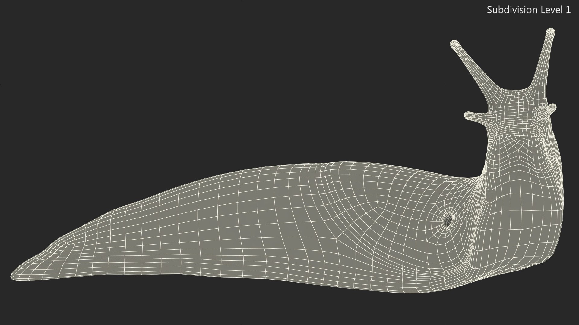 3D Leopard Slug Reaching Up Model - TurboSquid 2016173