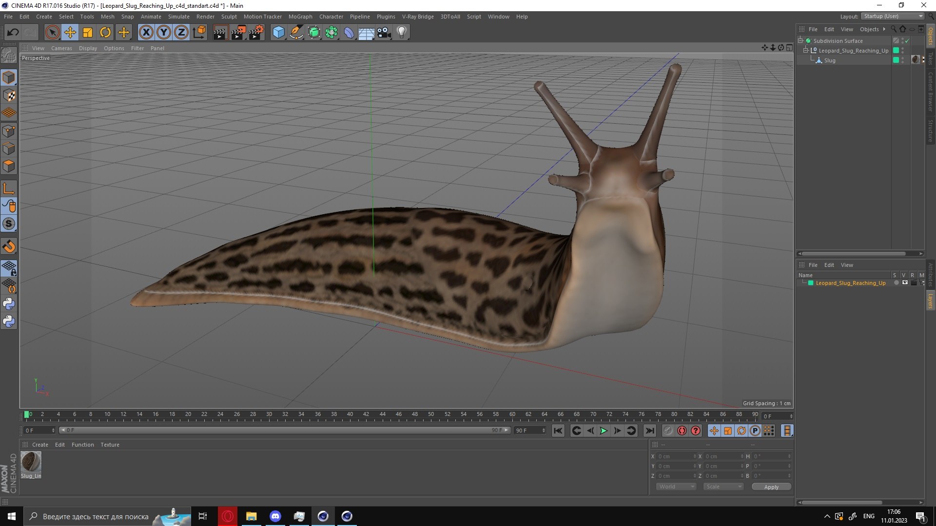 3D Leopard Slug Reaching Up Model - TurboSquid 2016173