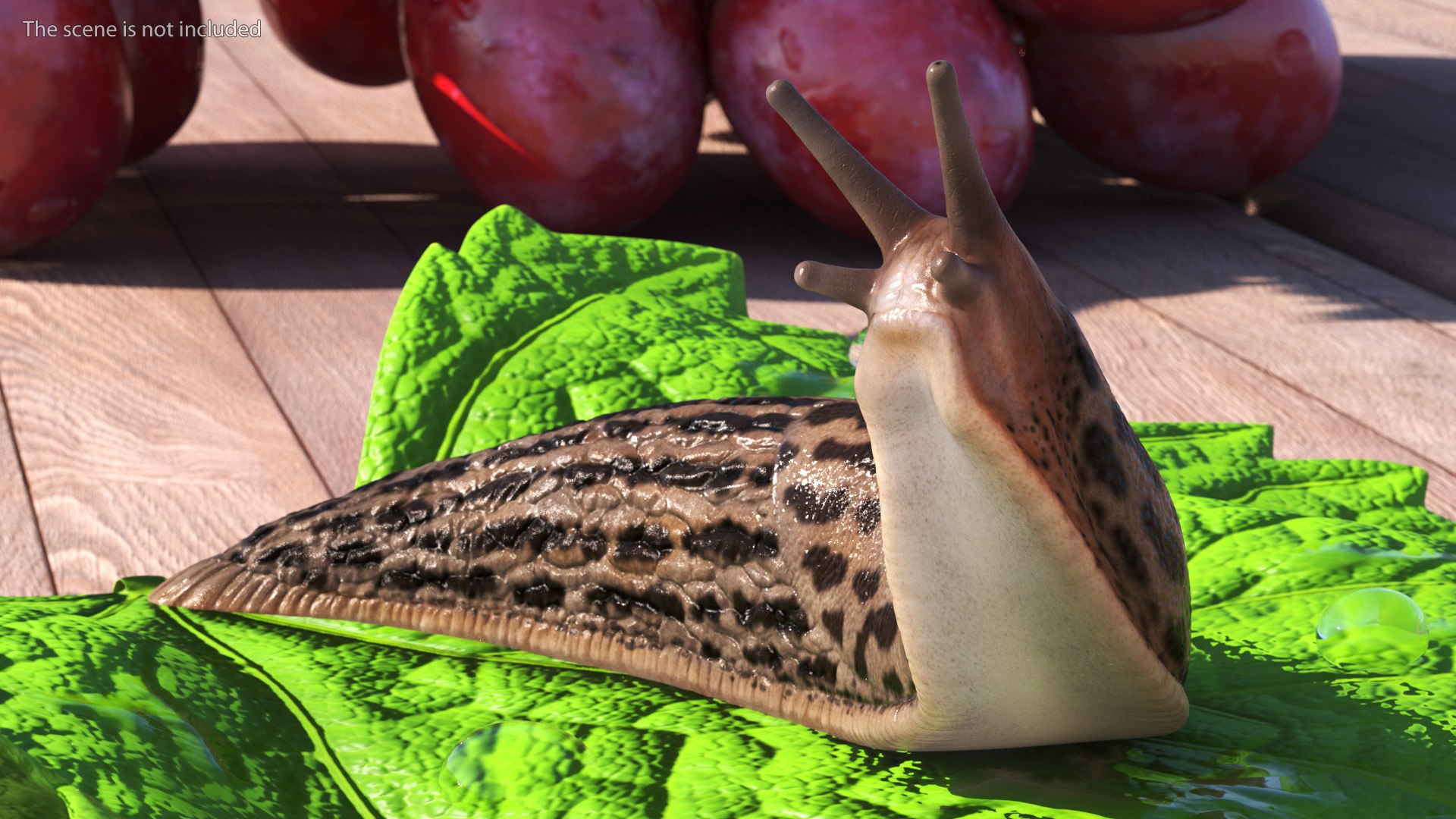 3D Leopard Slug Reaching Up model - TurboSquid 2016173