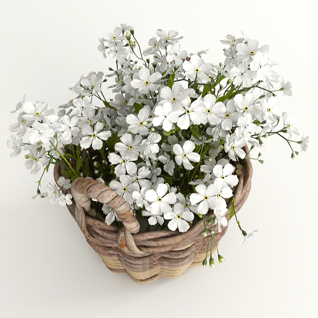 3d Model Flowers Basket