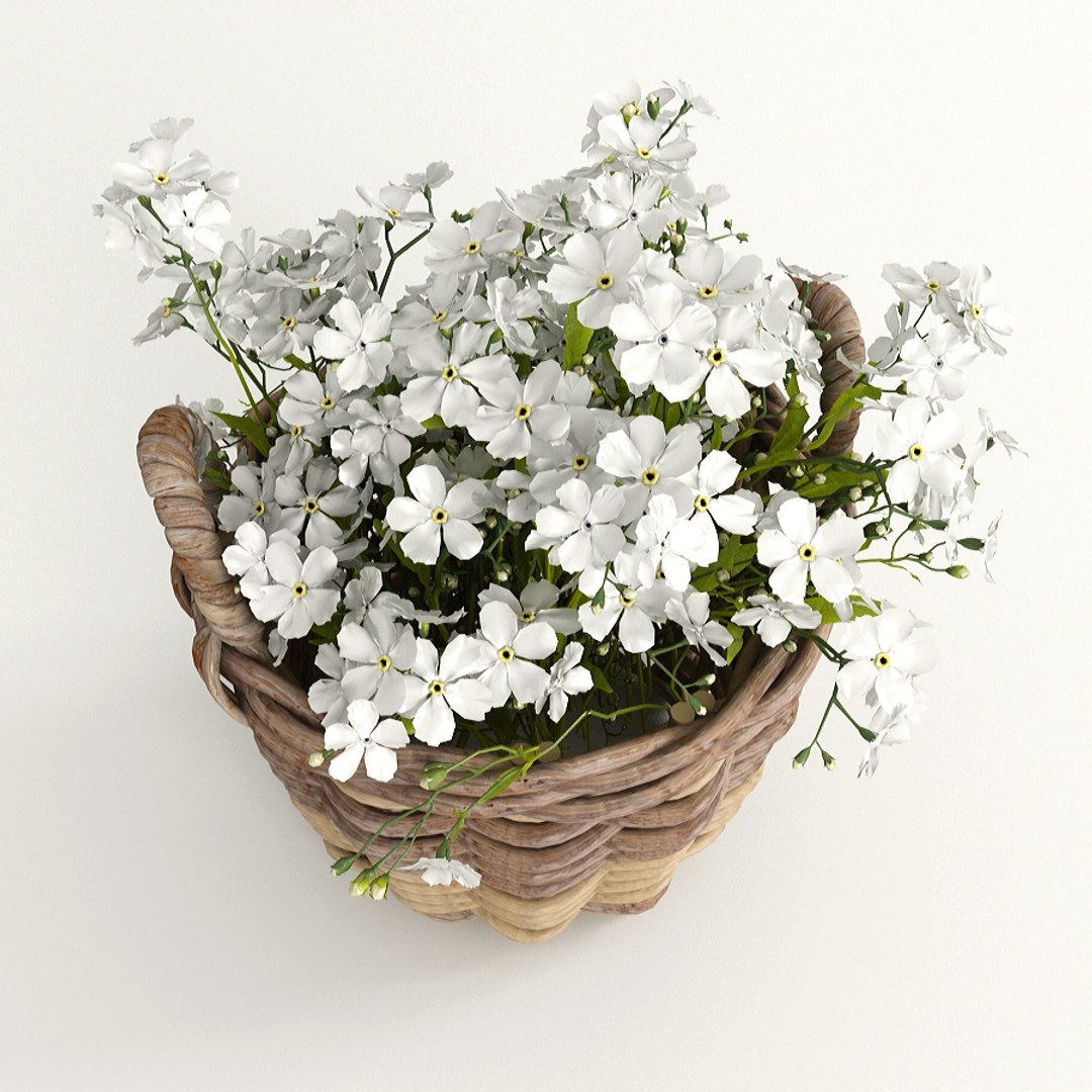 3d Model Flowers Basket