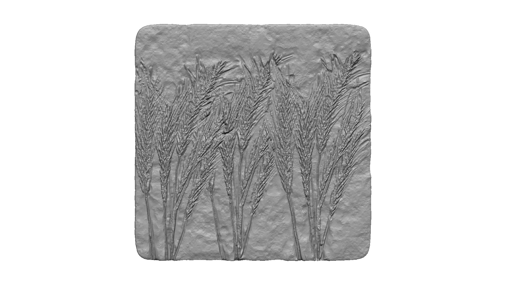 3D Wheat Relief Model - TurboSquid 1850990