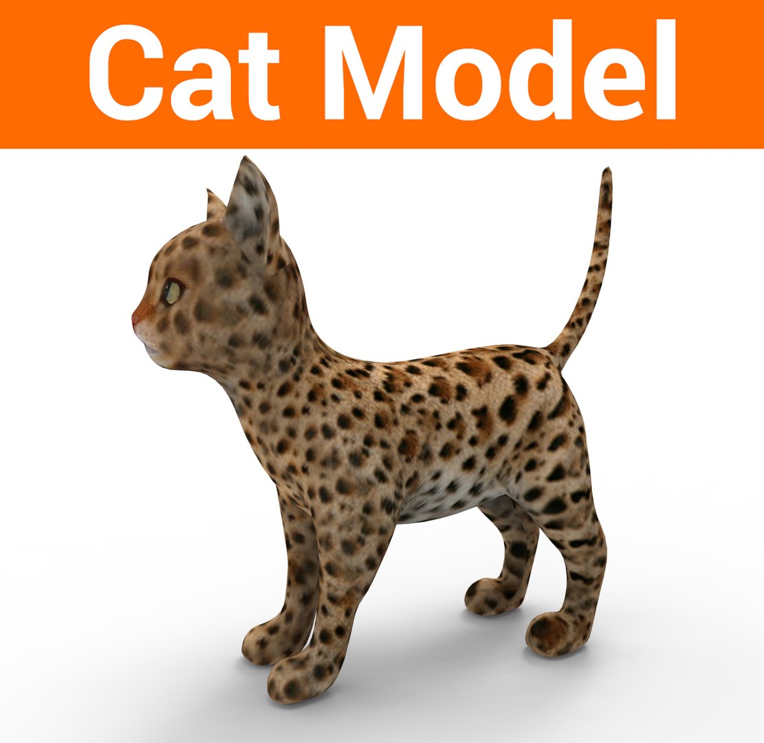 Cute Cat 3D Model - TurboSquid 1193797