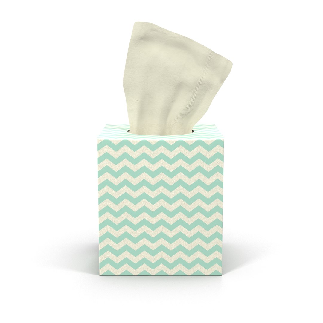 3D Tissue Box Model - TurboSquid 1189361