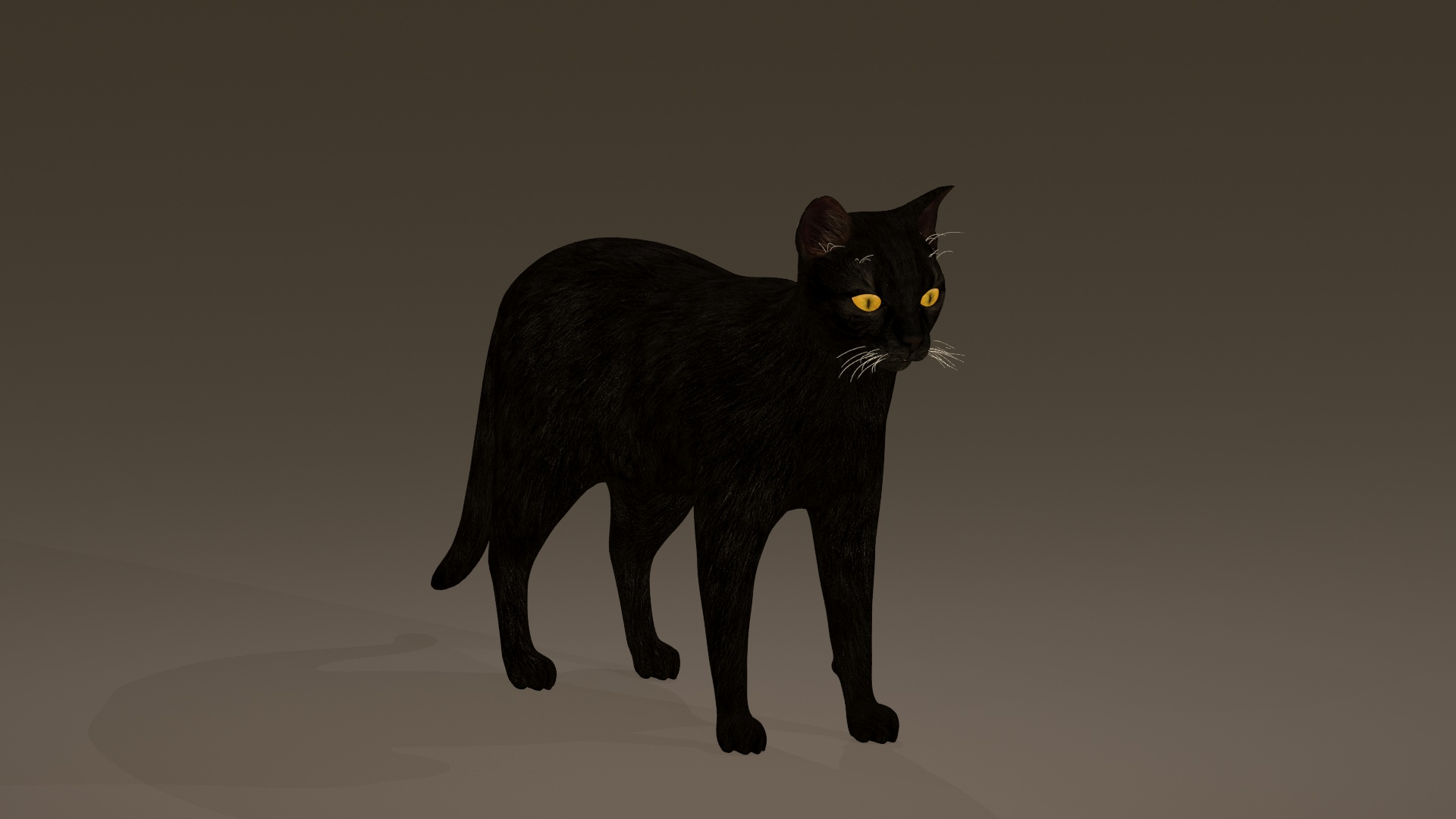 3D Black Cat Modeled Model - TurboSquid 1363374