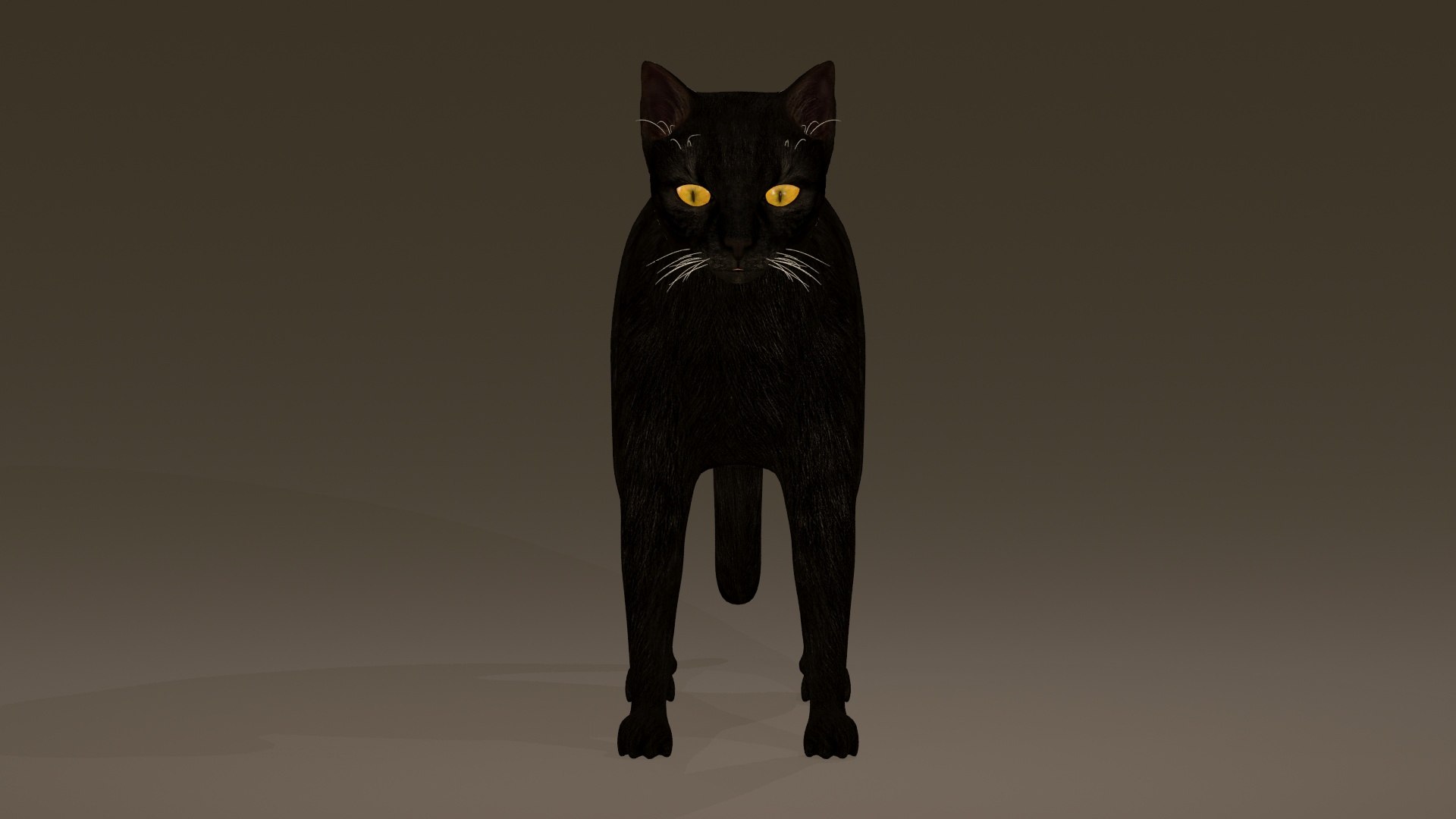 3D Black Cat Modeled Model - TurboSquid 1363374
