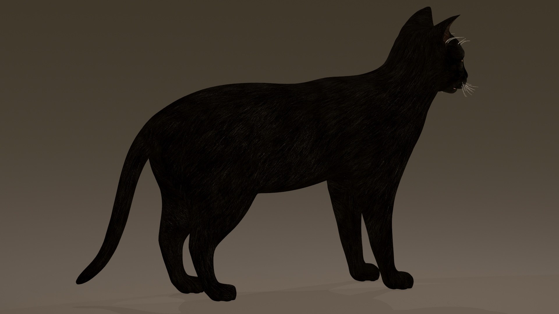 3D Black Cat Modeled Model - TurboSquid 1363374