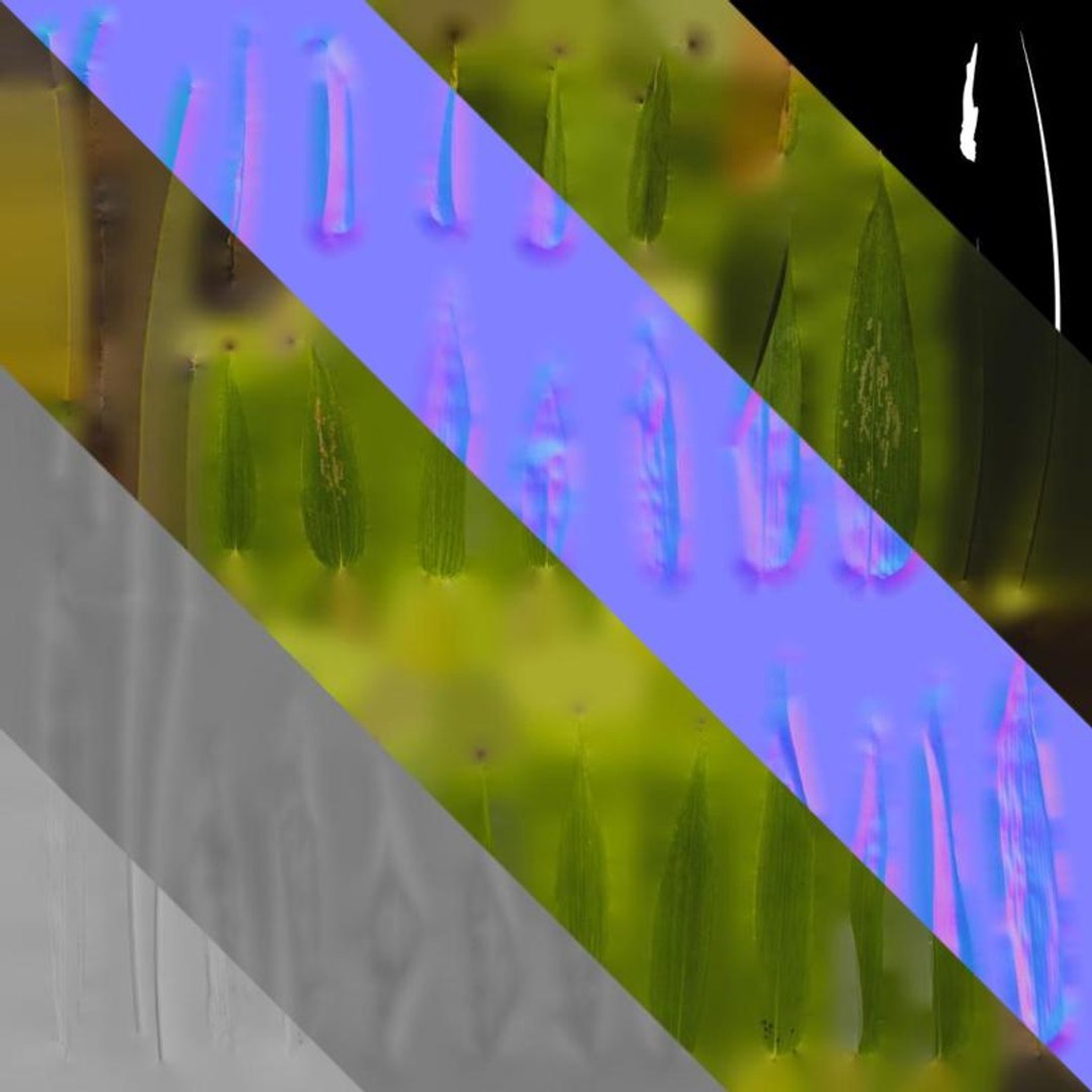 Anydrafts Bambusa Boniopsis Leaf 03 Textures 3D Model - TurboSquid 2345318