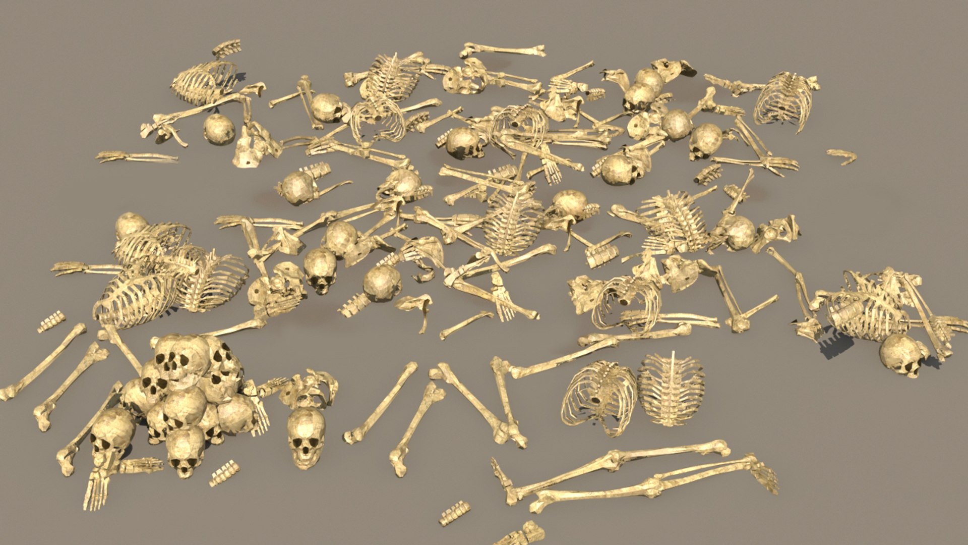 3D Model Human Bone - TurboSquid 1359759