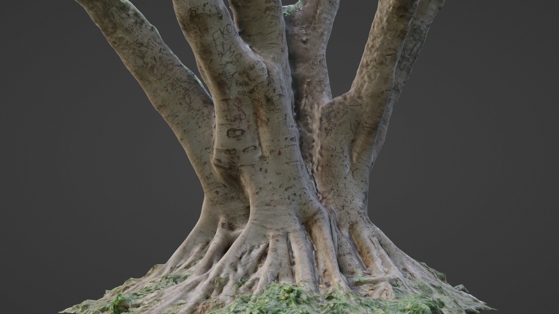 3D Stylized Tree - TurboSquid 2329384