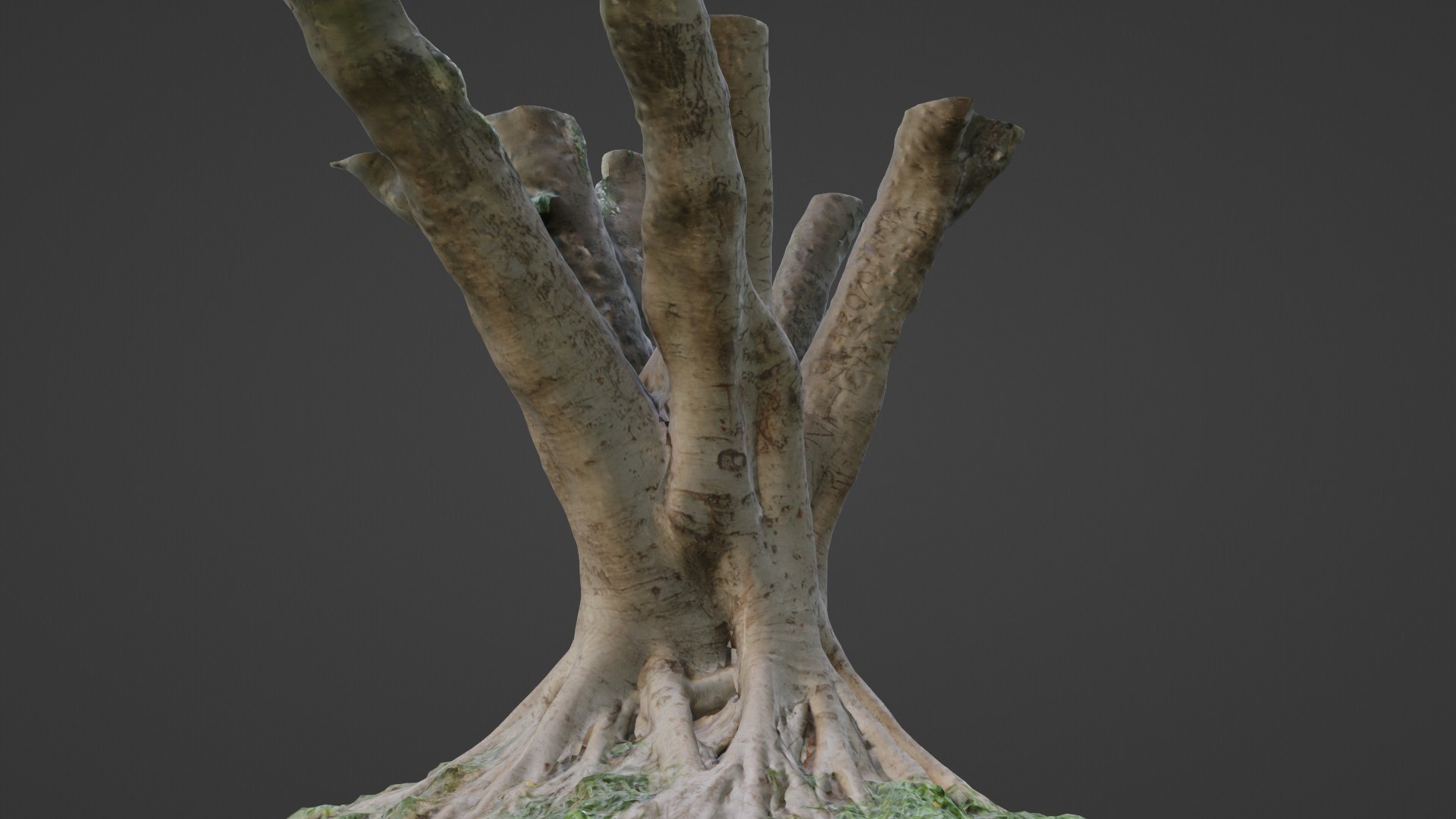 3D Stylized Tree - TurboSquid 2329384