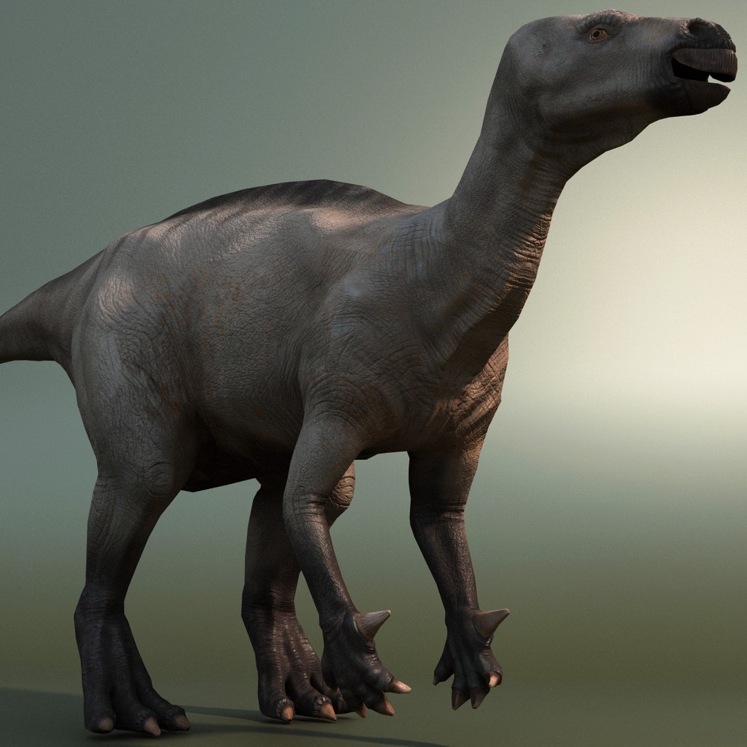 dinosaur iguanodon rigged max
