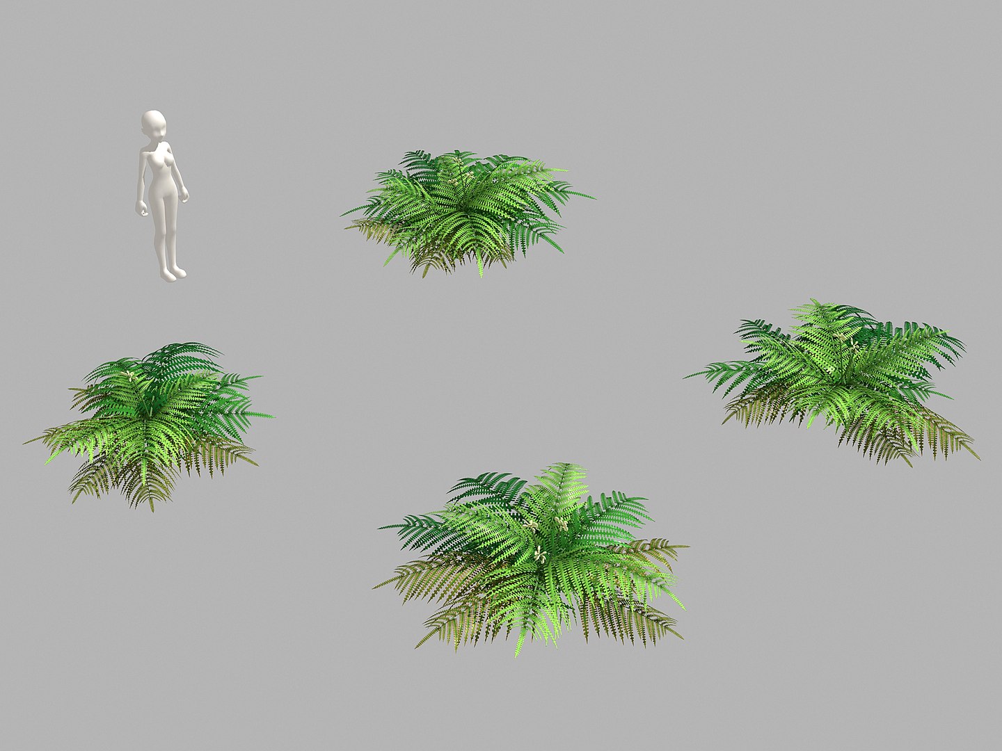 3D Weeds - Grass 55 Model - TurboSquid 1449680