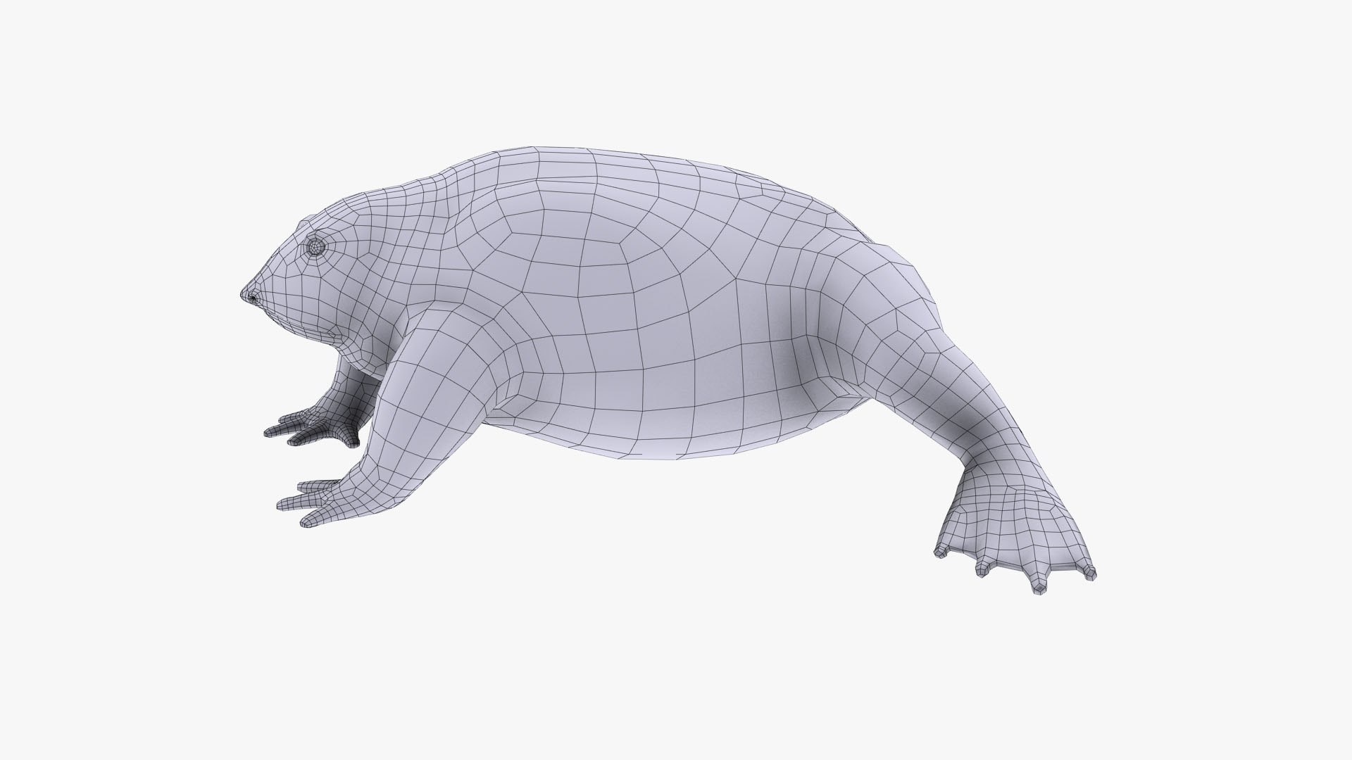 3D Frog Toad Amphibian - TurboSquid 1528201