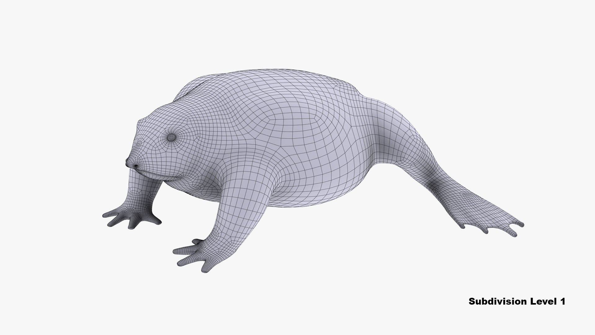 3D Frog Toad Amphibian - TurboSquid 1528201