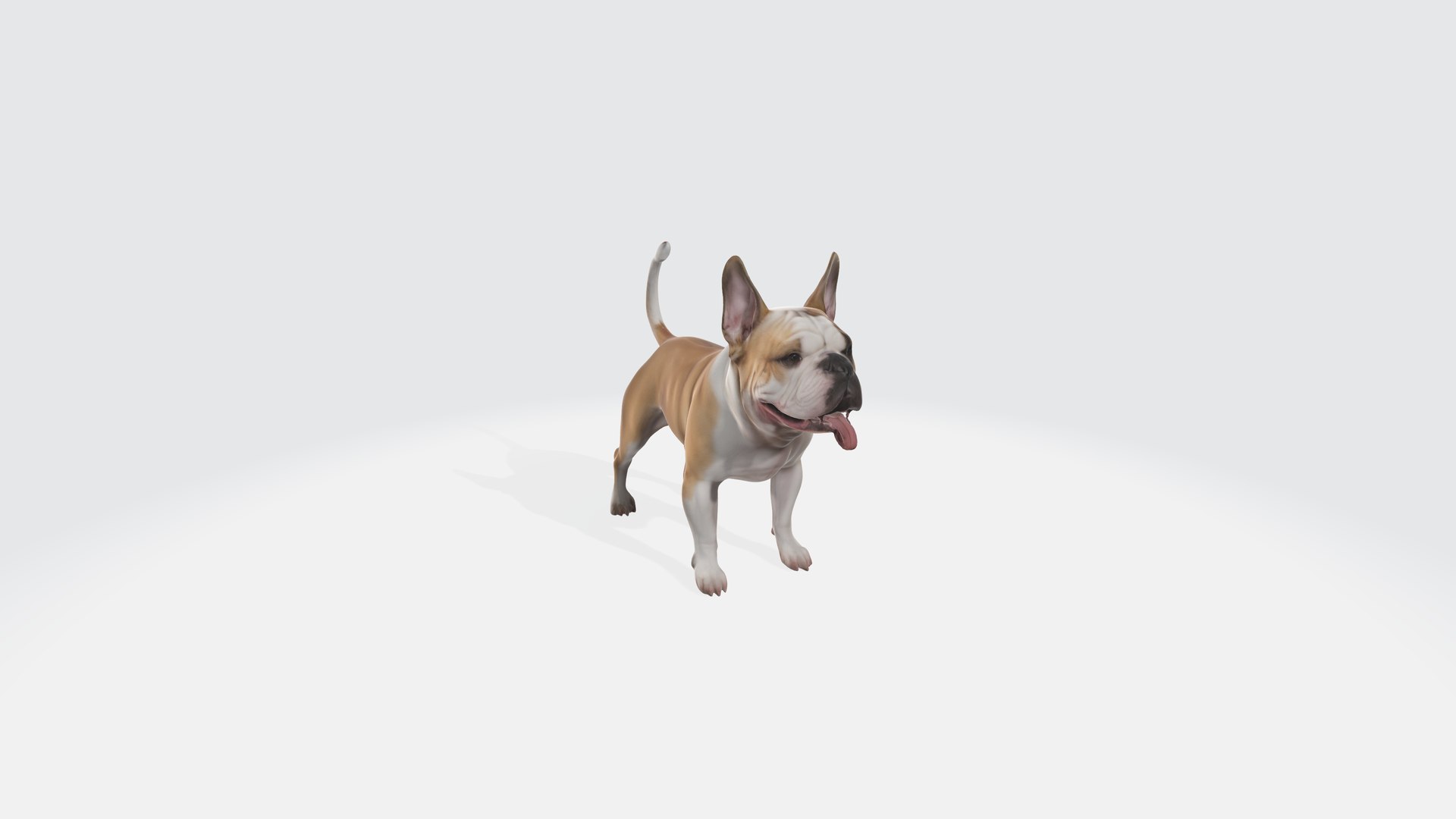 3D Bulldog Dog Rigged Animated - TurboSquid 2278959