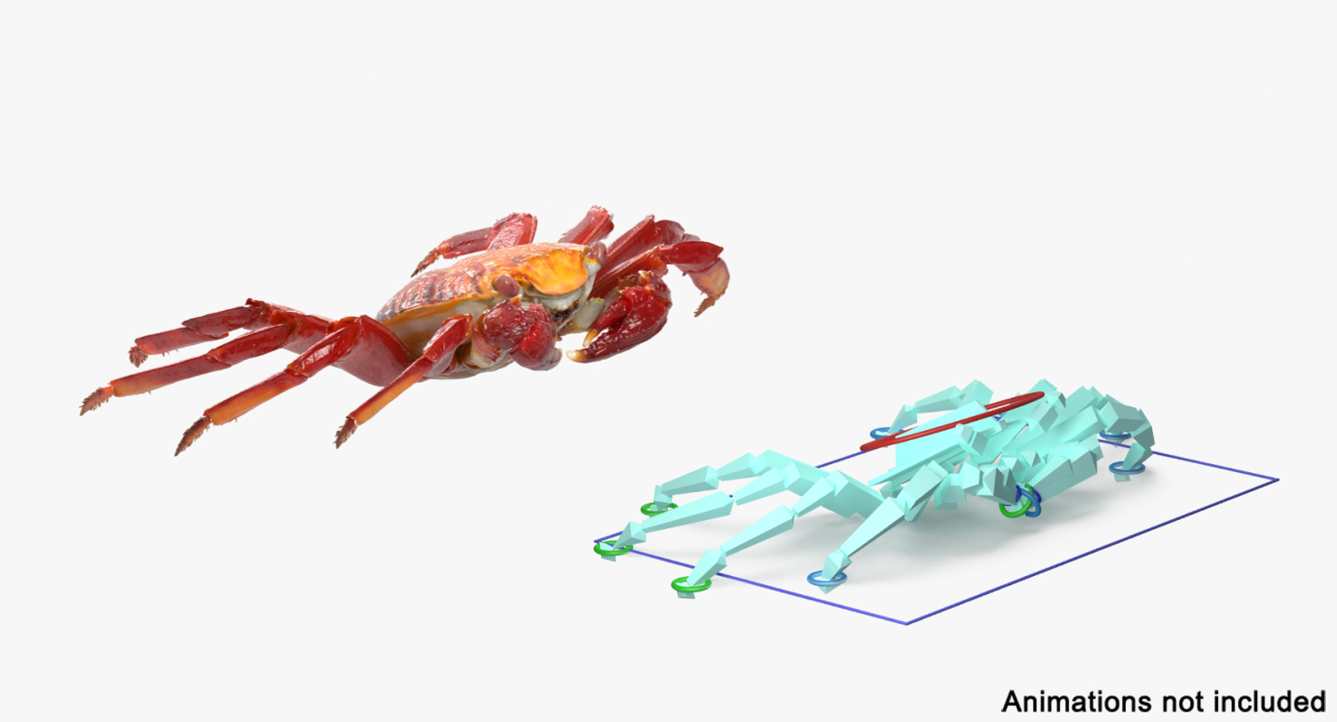 3D Rigged Crabs Model - TurboSquid 1183994